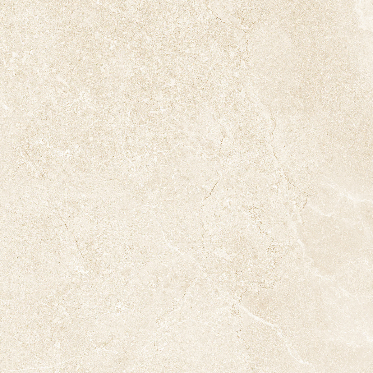 Hamilton Champagne SurfaceTec 600x600 – Homer Hub