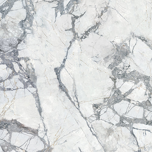 Aurora Invisible Grey 1200x1200mm Marble Look Tile – Homer Hub