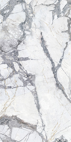 Aurora Invisible Grey 600x1200mm Marble Look Tile – Homer Hub